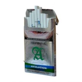 Sampoerna AVOLUTION MENTHOL Super SLim Clove Cigarettes 10 packs - 200 ...